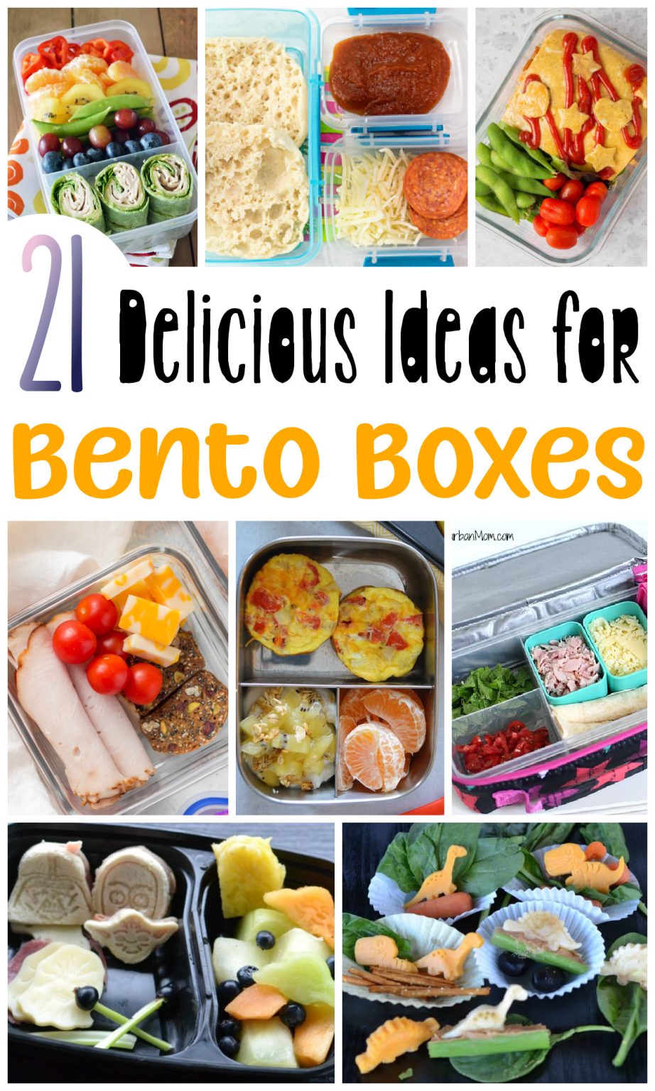Fun Bento Lunchbox Ideas - The Rockstar Mommy