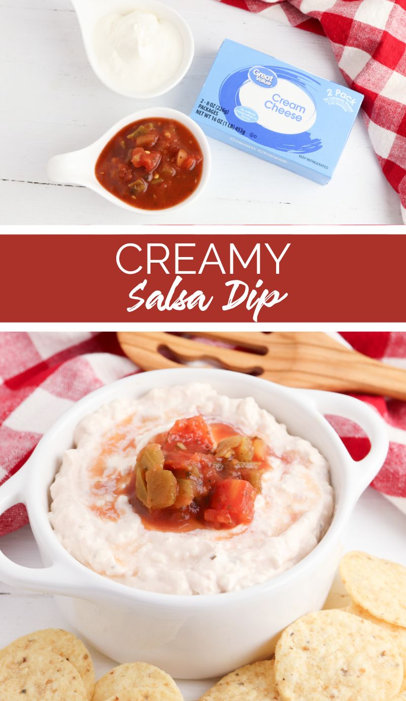 Creamy Salsa Dip - The Rockstar Mommy